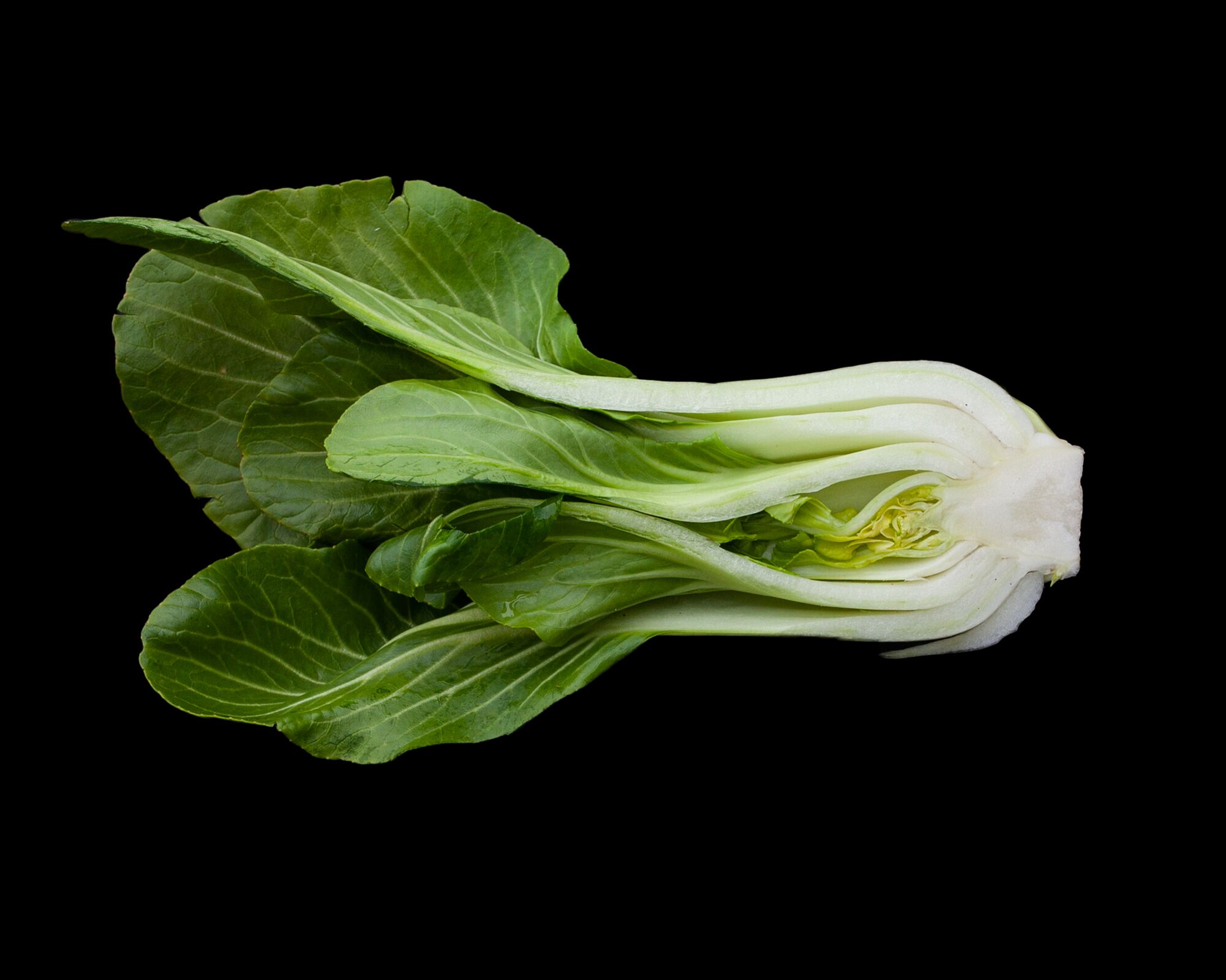 Bok Choy - Cut Halved — Brava | Brava Home