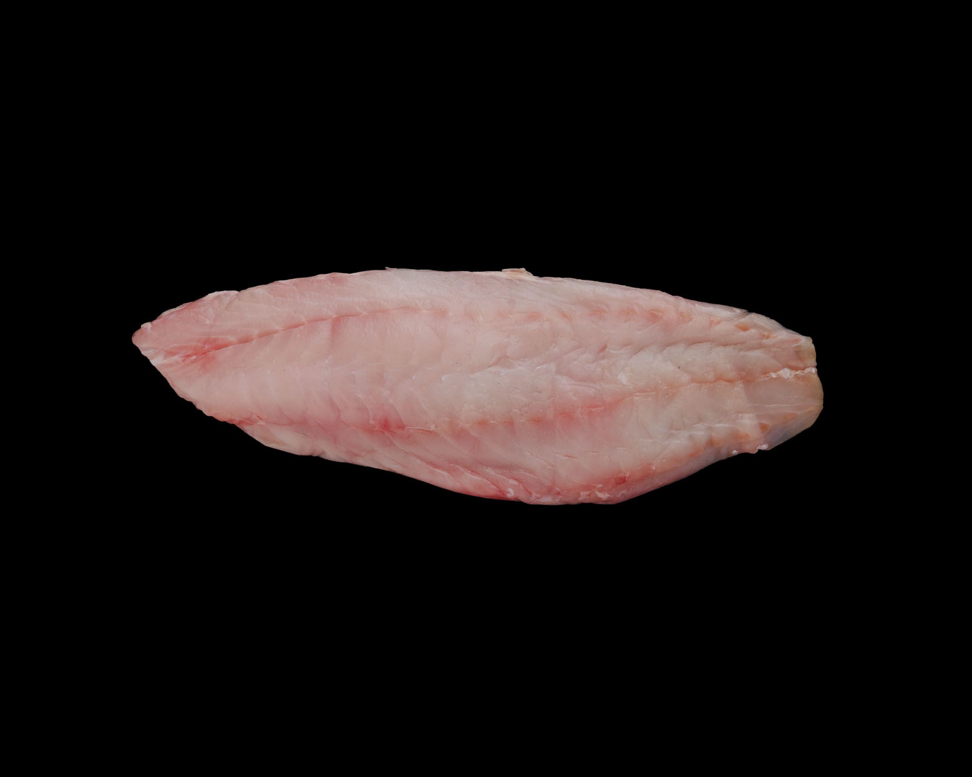 Trout - Cut Filet — Brava | Brava Home