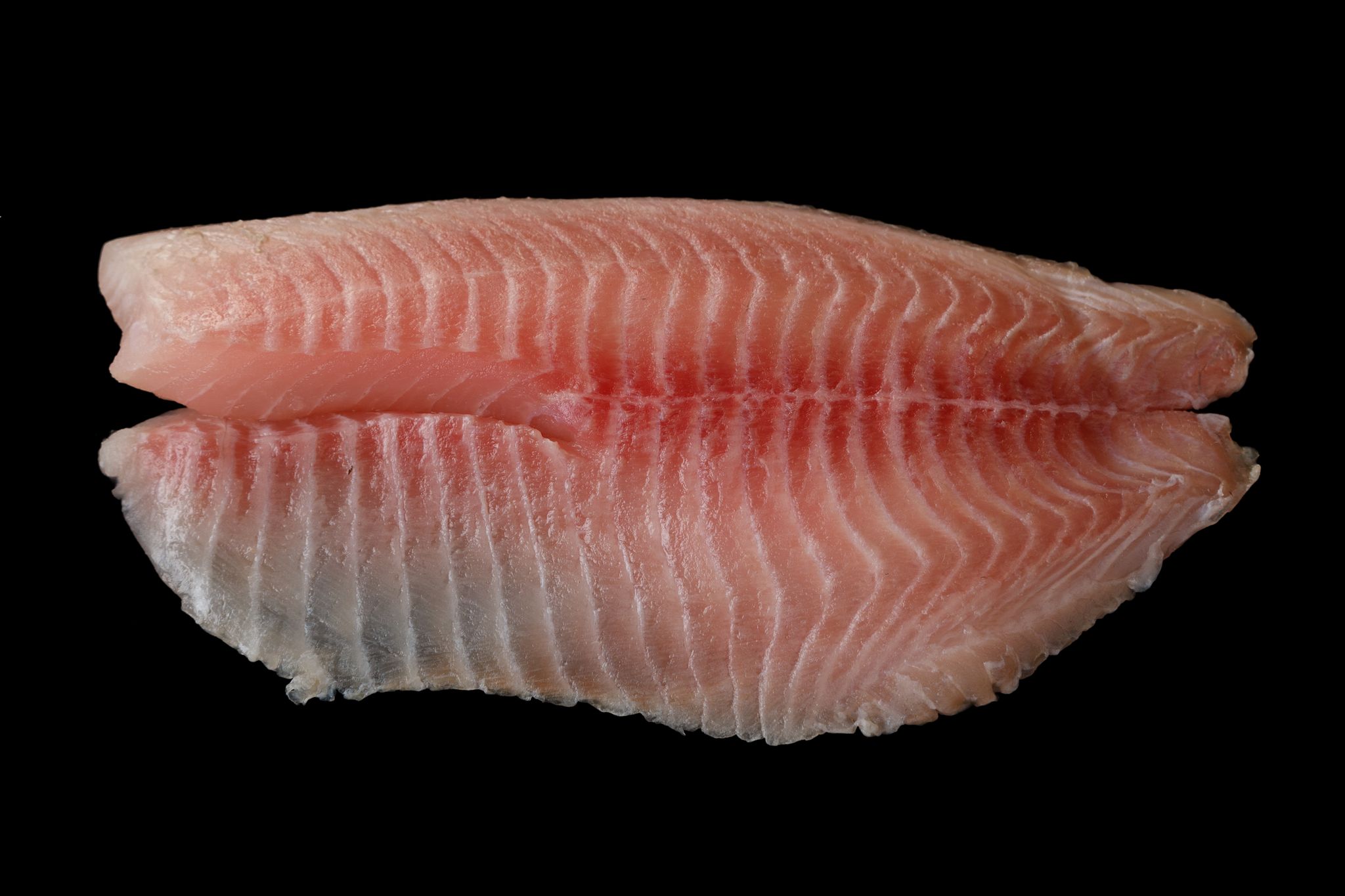 Thin White Fish - Serving Size 2-4 — Brava | Brava Home