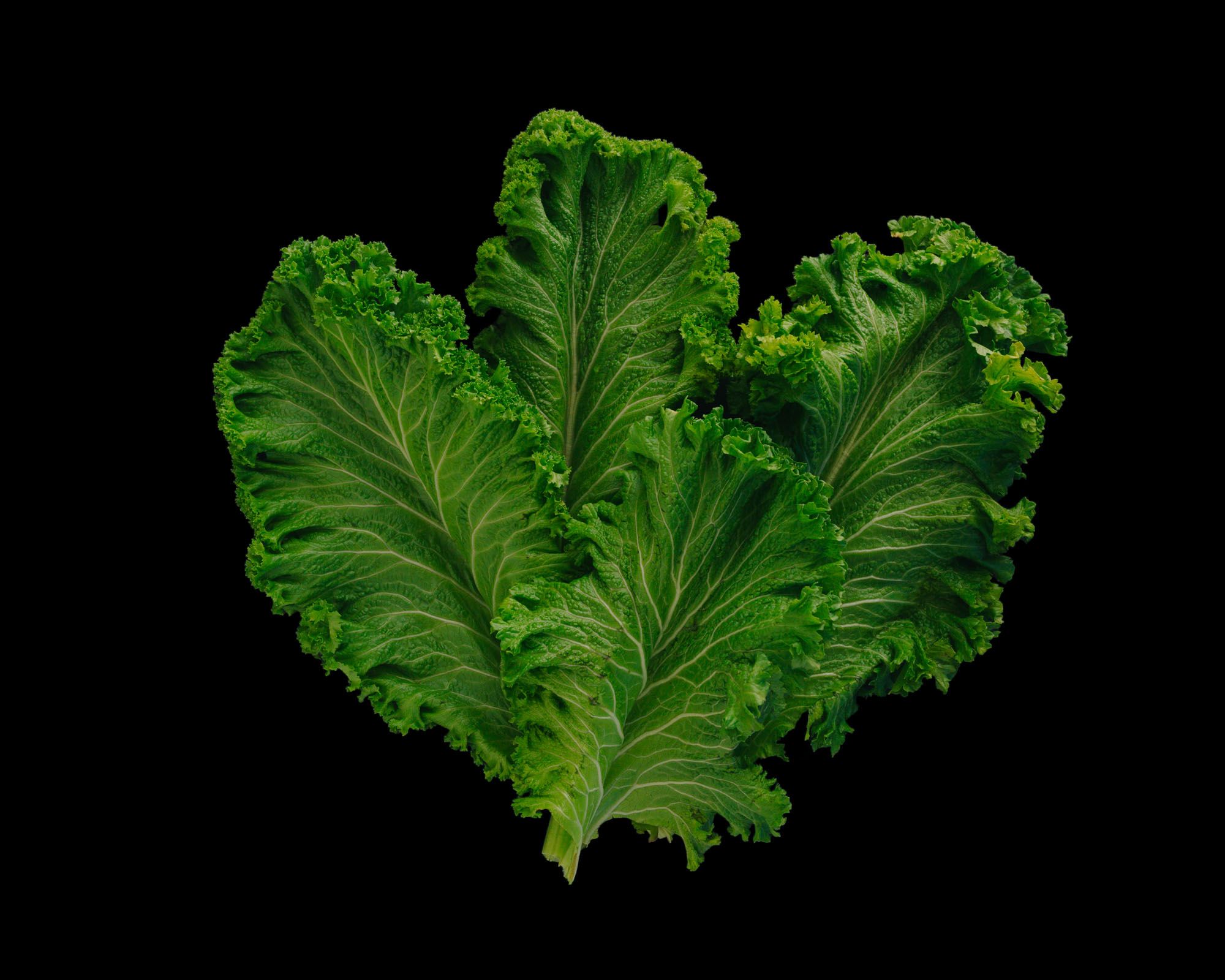 Sautéed Mustard Greens - Serving Size 2-4 — Brava | Brava Home